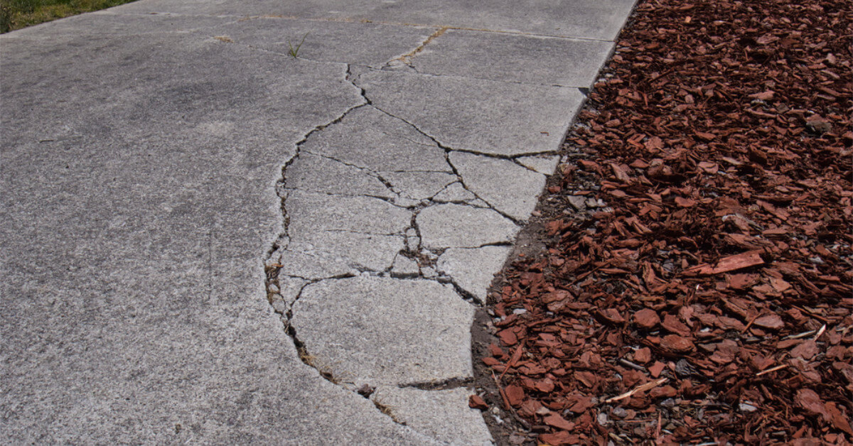 Preventing Driveway Damage: What Should You Do? | BI News